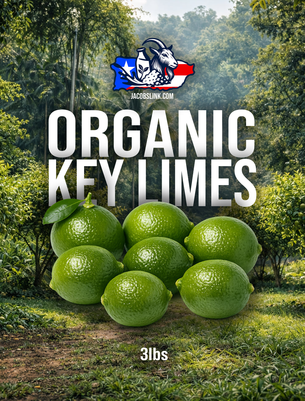 Organic Key Limes 3 lbs – Jacob's ReGENEration