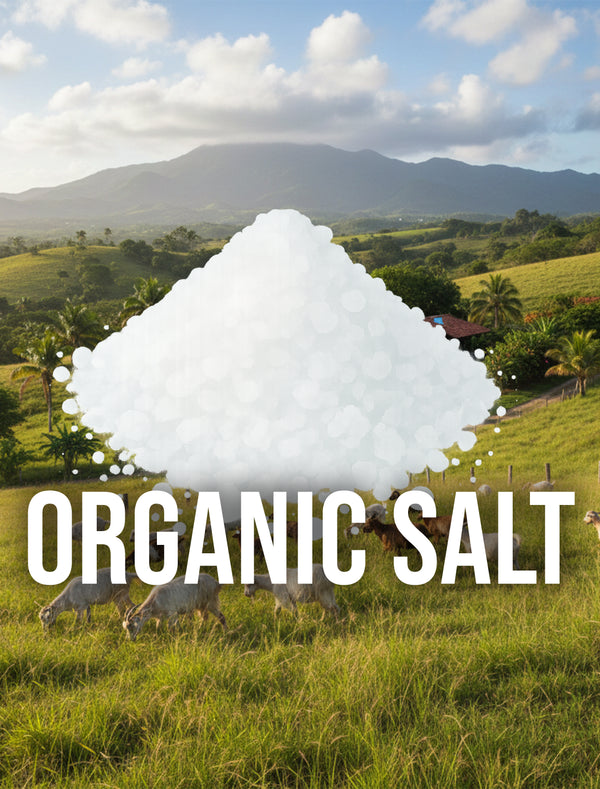 Hand Harvested / Organic Qualified Salt – Jacob's ReGENEration
